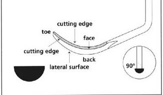 THE CUTTING EDGE | Registered Dental Hygienists