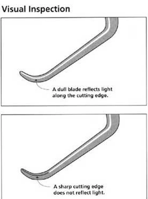 THE CUTTING EDGE | Registered Dental Hygienist (RDH) Magazine