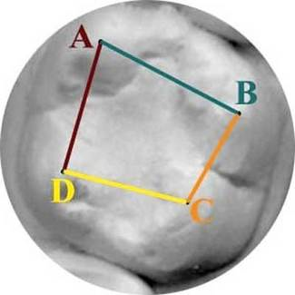Imprints | Registered Dental Hygienists