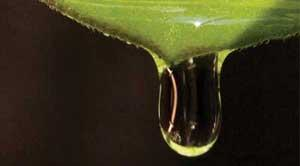 Why, Dry? | Registered Dental Hygienists