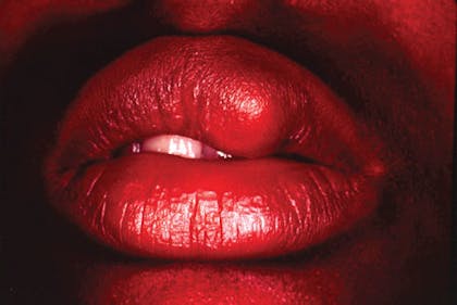 Histological Structure Of Lipsticks | Lipstutorial.org